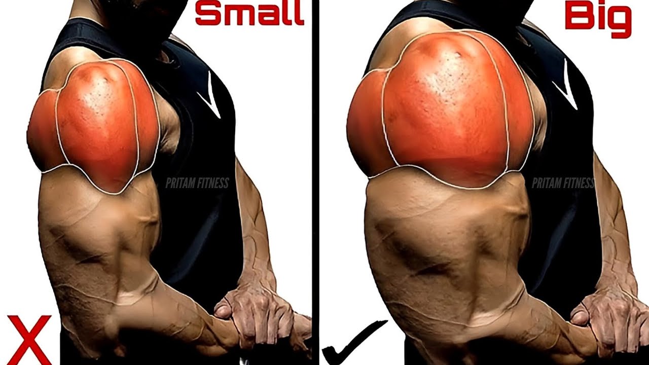 7 SHOULDER EXERCISES YOU SHOULD BE DOING | Shoulder workout - YouTube