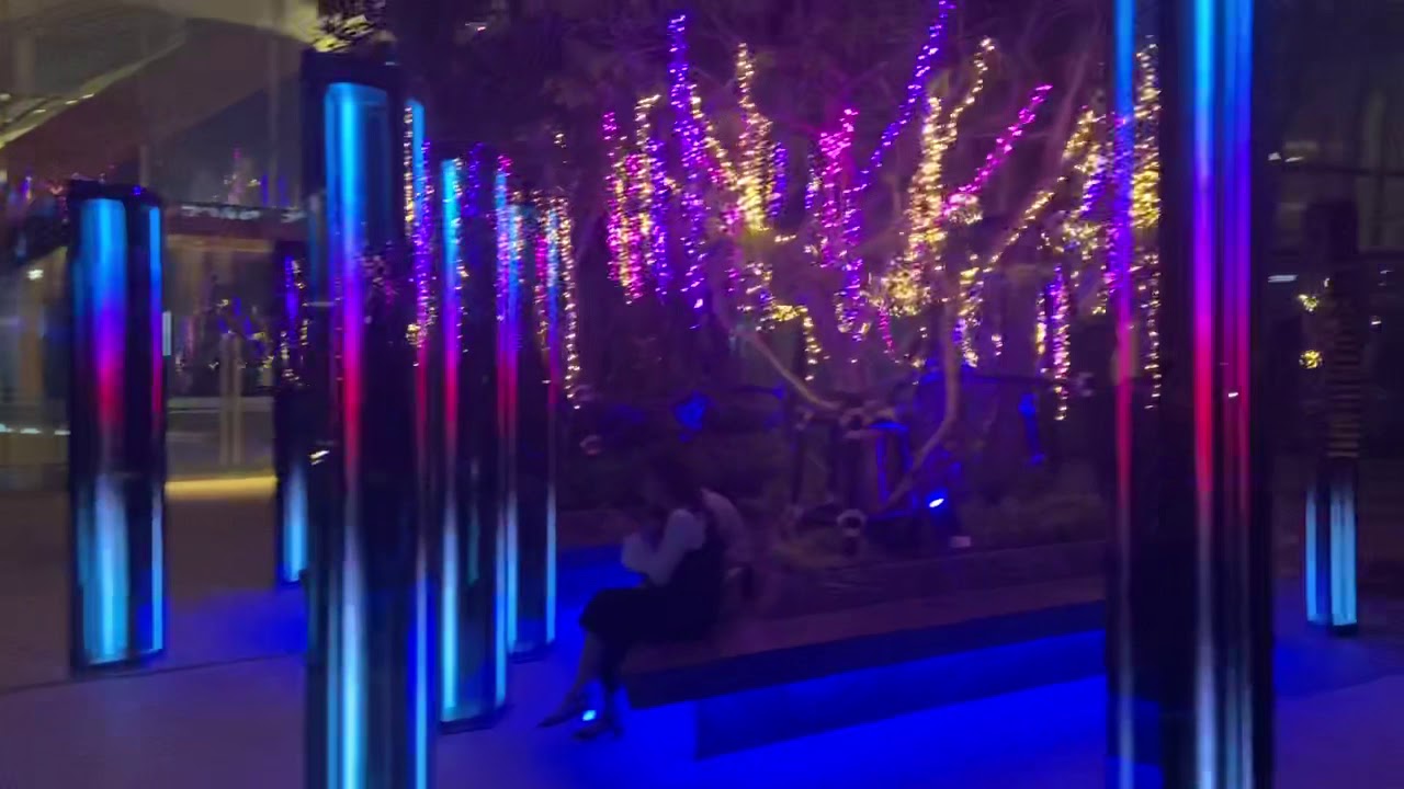 Infinity Forest SOFTlab 2020 音無し - YouTube