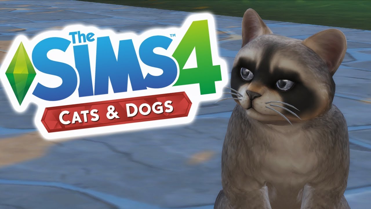 Sims Cats & Dogs - Creating CUTE PETS! #1 - YouTube