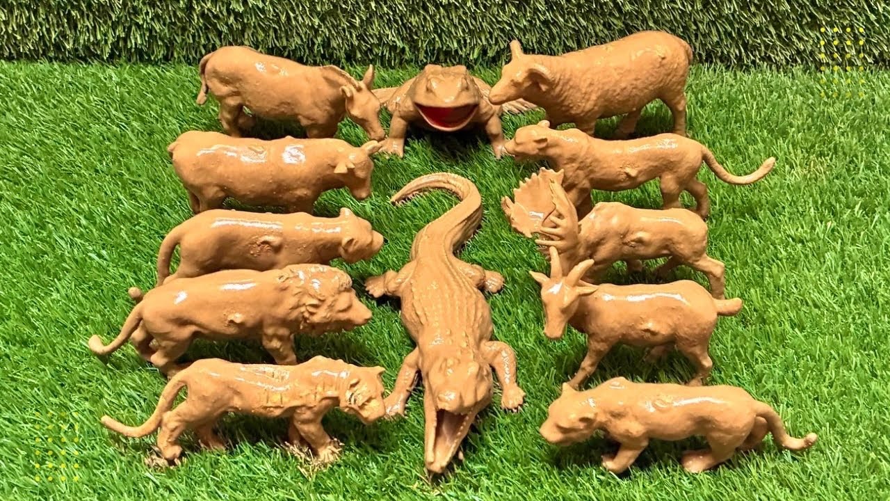 The Great Mud Mystery: How Herbivores and Carnivores Thrive in Muddy ...