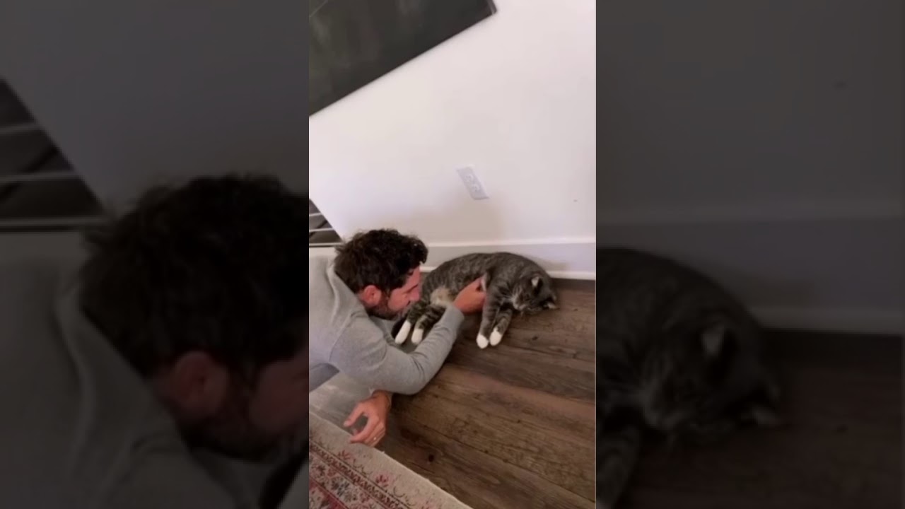 Tom Ellis with cat on 2020 father's day - Meaghan Oppenheimer's insta ...