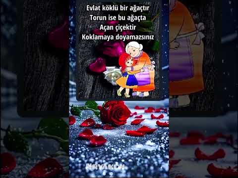 Evlat Ağaçtır Torun İse  Bu Ağaçta Açan Çiçektir Koklamaya Doyamazsın #sevgi #torun #shorts #reklam