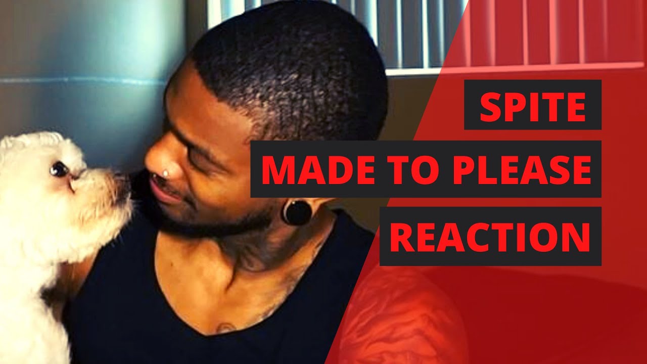 SPITE | MADE TO PLEASE | REACTION - YouTube