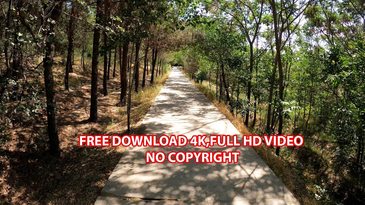 No Copyright Video -Walking along the path - Nature background - 4K ...