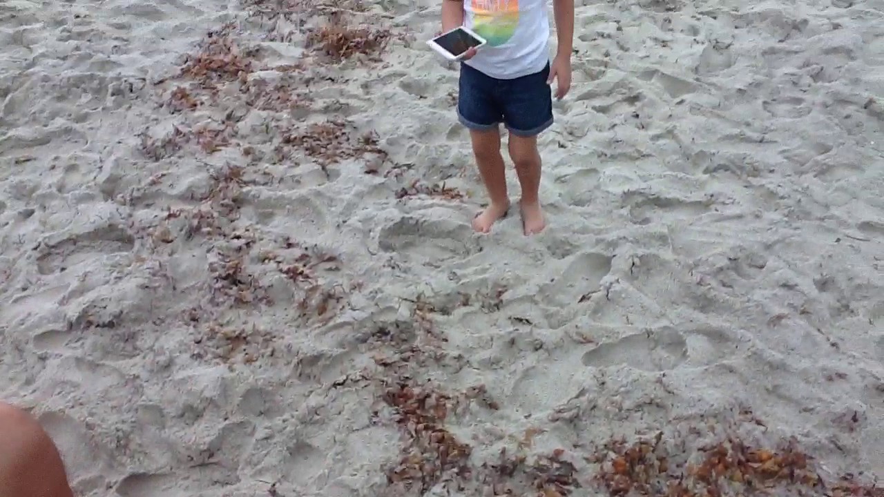 Poop Samoa beach - YouTube