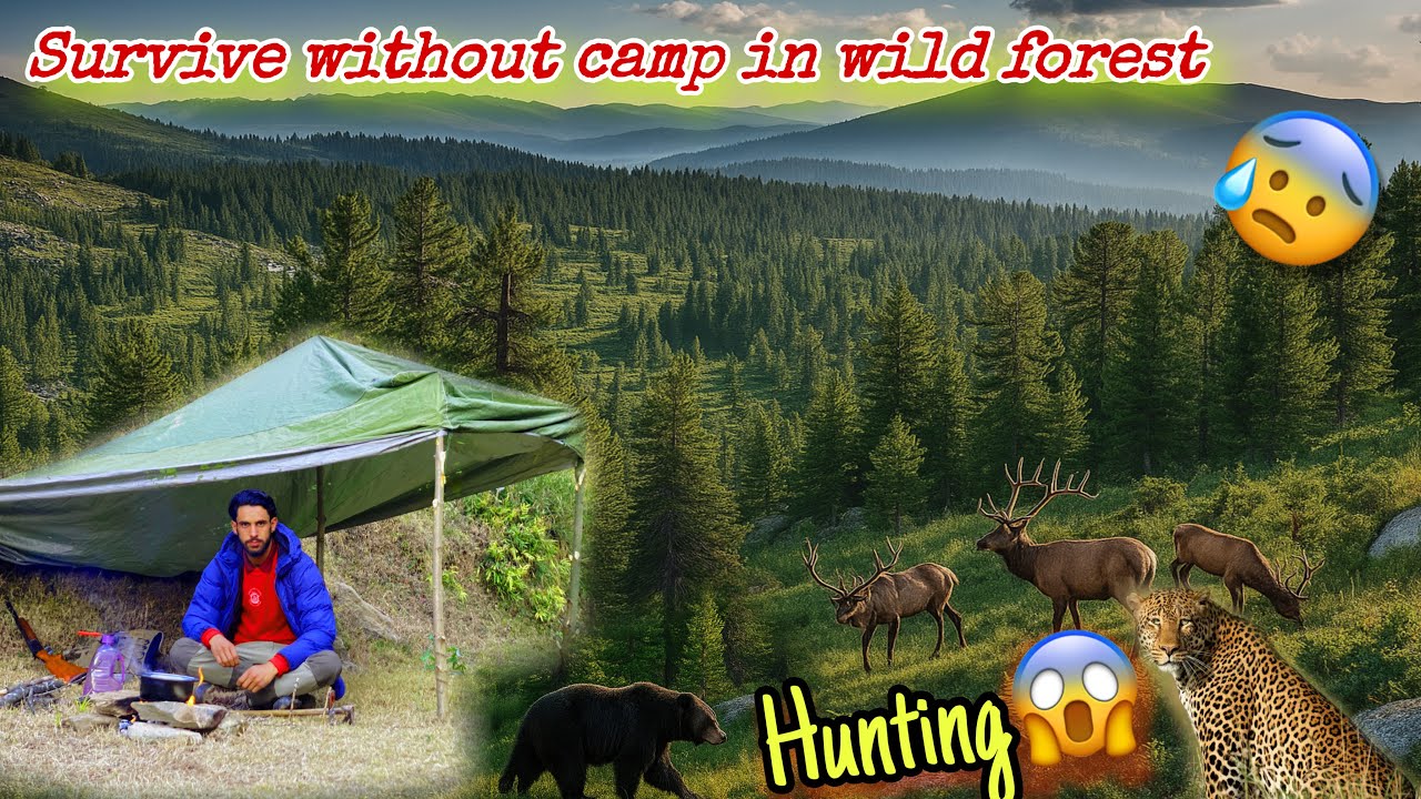 Alone in a Deadly Forest 😱|| Survival Without Camp & Wild Hunting🥺 ...