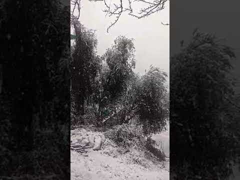Snow fall in solan 2020 - YouTube