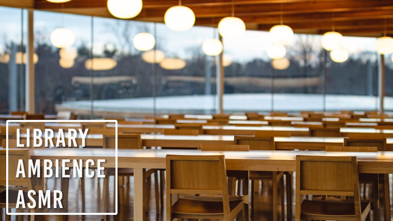 [4K] Beautiful Library Ambience Study ASMR - 25 min virtual study view ...