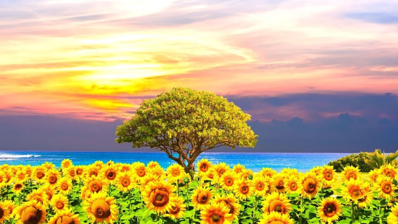 🎧Attract Positive Energy Tones, Relaxing Zen, Meditation, Healing ...