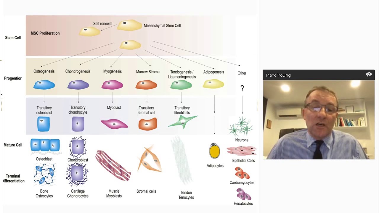 Hope, hype and reality: The need to manage community expectations in ...