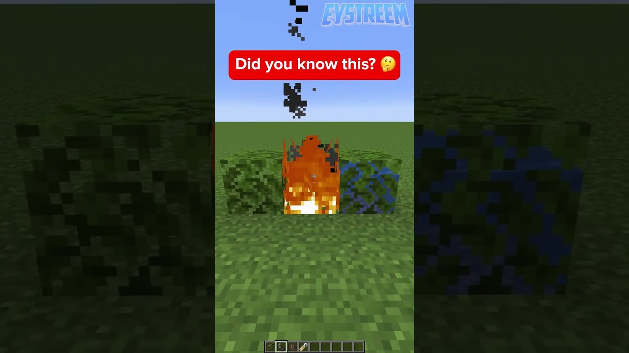 More Minecraft Questions Answered - YouTube