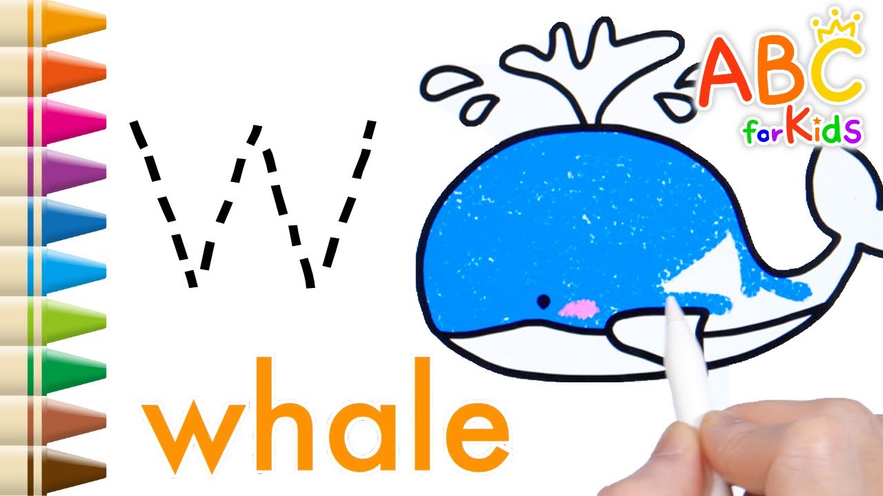 Coloring pictures for kids | Color the sea creatures turtles and whale ...