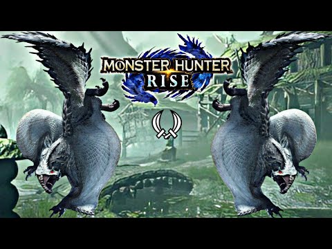 [MHR] Hub Quest: ☆6 2 Tobi-Kadachi's |Dual Blades| Hunt - YouTube