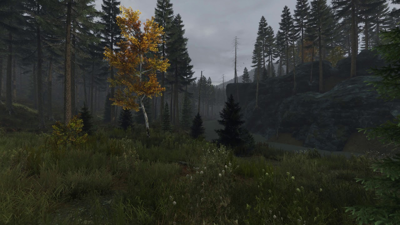 DayZ Ambience - Wilderness near Tishina - YouTube