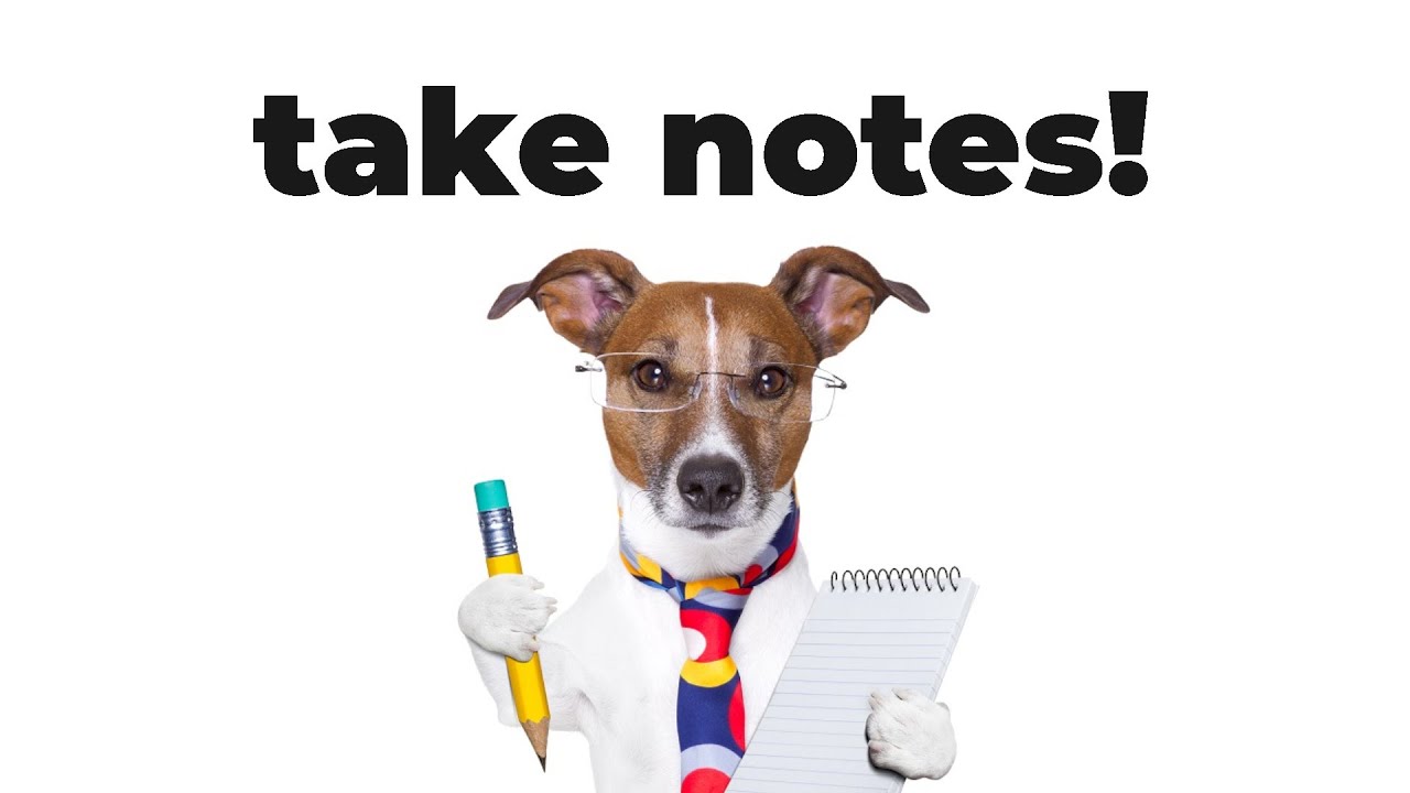 HOW TO CONTROL THE DOG LIKE A PRO! With HoundMaster - YouTube