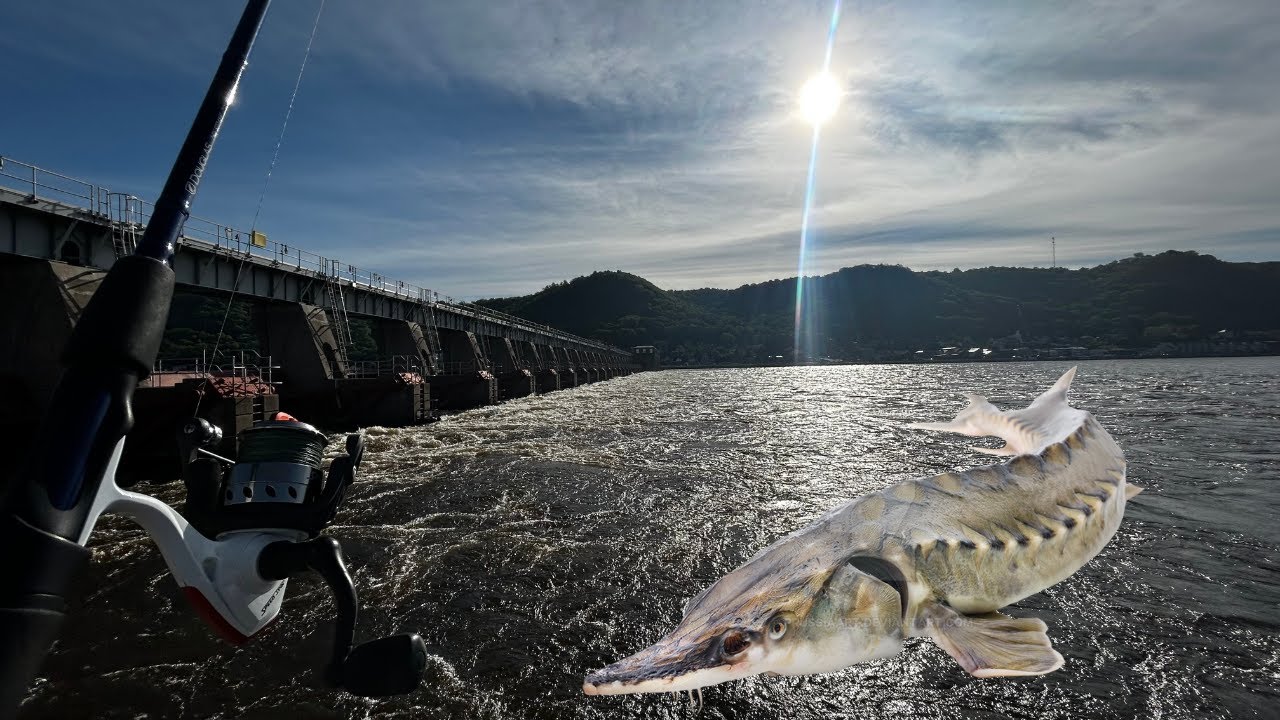 Multi Species fishing the ALMA DAM (15lb FISH LANDED) - YouTube