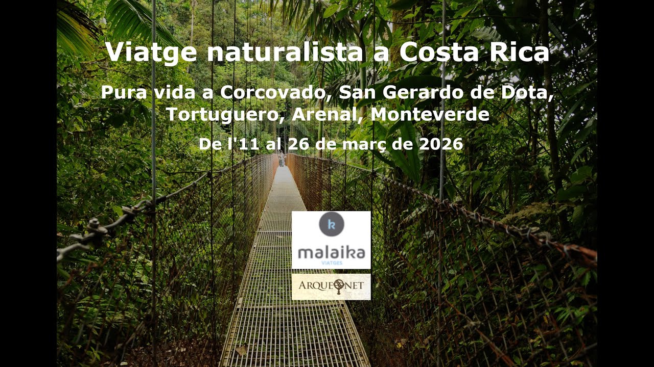 Viatge naturalista a Costa Rica. Pura vida!! - YouTube