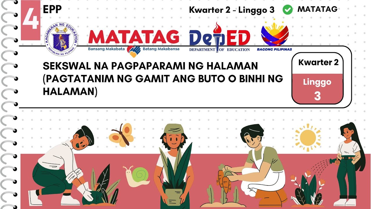 EPP4 Q2 W3: Sekswal na Pagpaparami ng Halaman (Pagtatanim ng Gamit ang ...