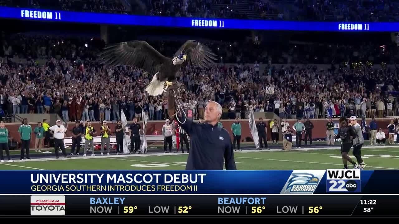 Georgia Southern unveils Freedom II, new live bald eagle mascot - YouTube