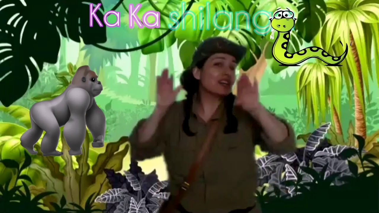 Animales de la selva !! CHE CHE KOOLAY - YouTube