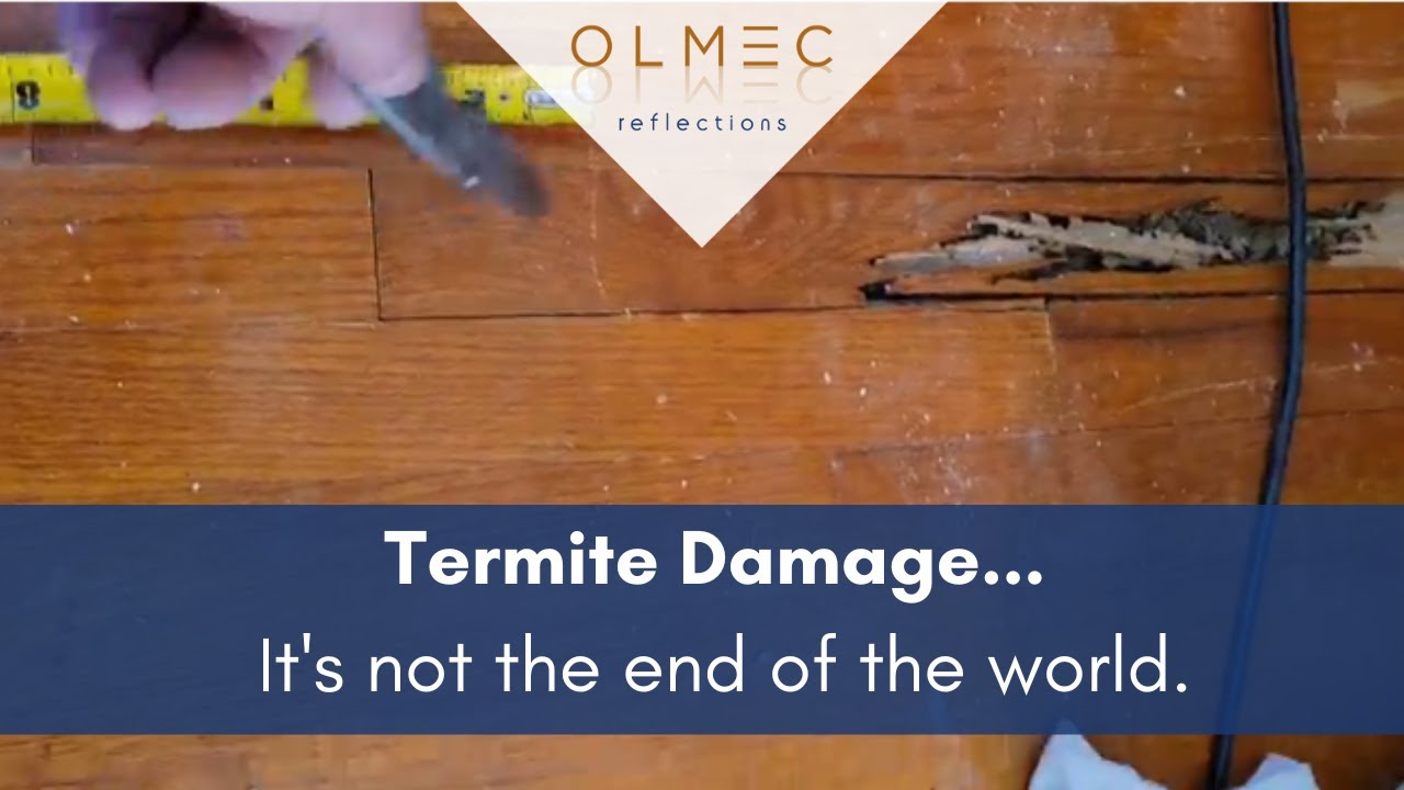 Addressing Termite Damage - YouTube