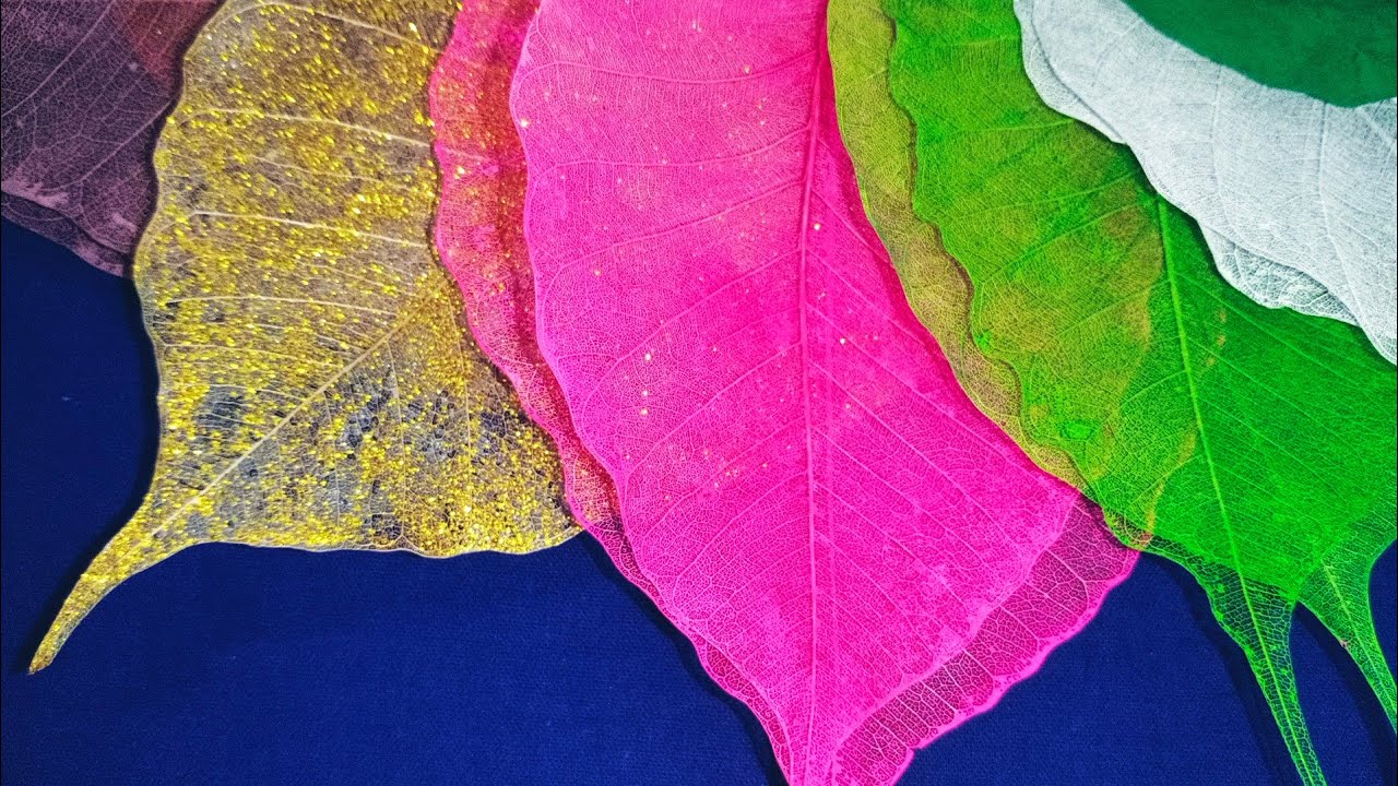 how-to-color-skeleton-leaves-coloring-skeleton-leaves-youtube