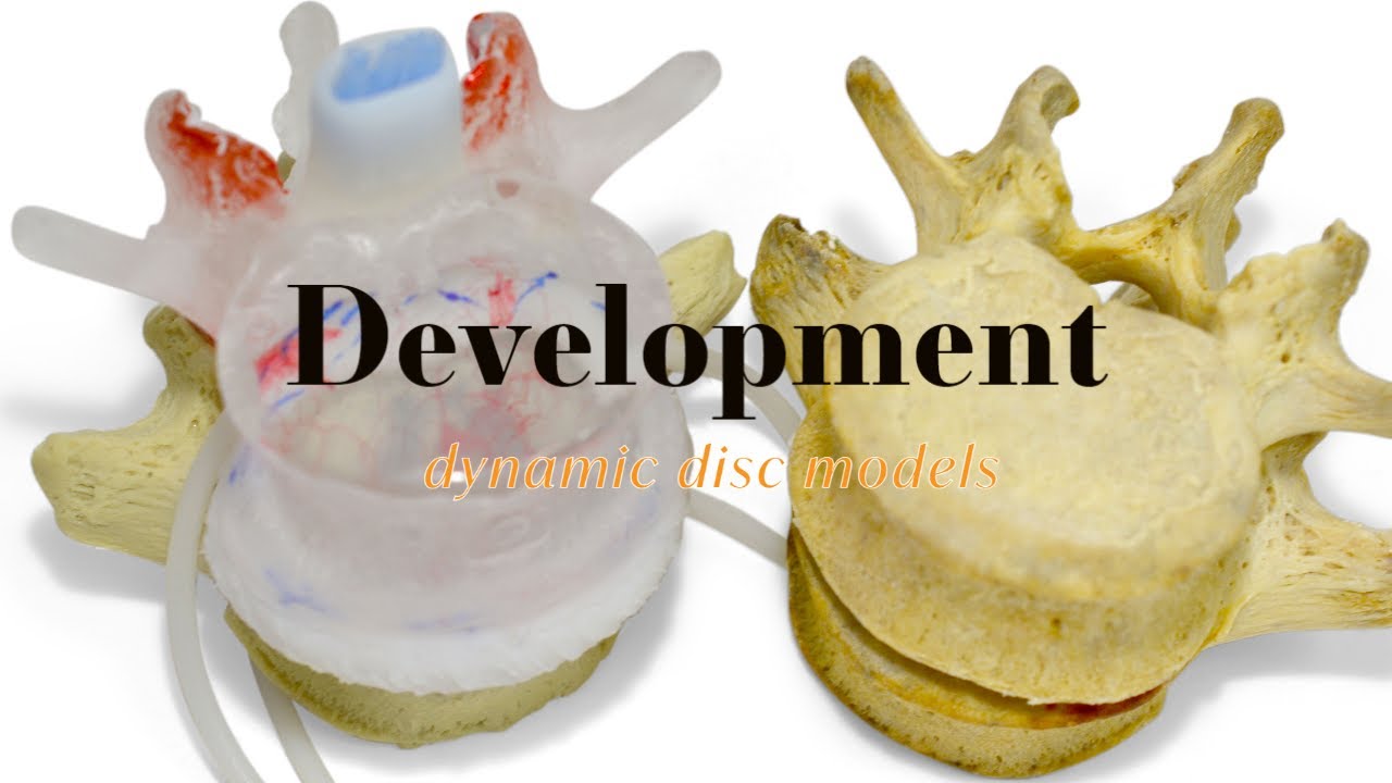 Dynamic Disc Model Development - YouTube