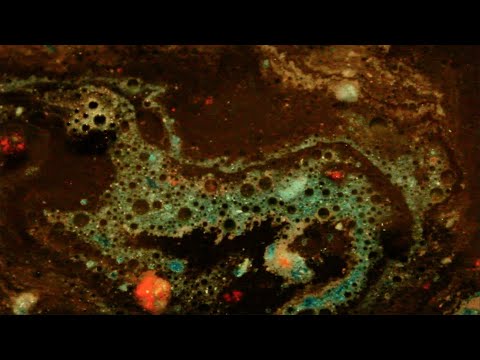 CALDO PRIMIGENIO: SOPA DE NEBULOSAS EN ESTÓMAGOS DE CUERPOS CÓSMICOS ...