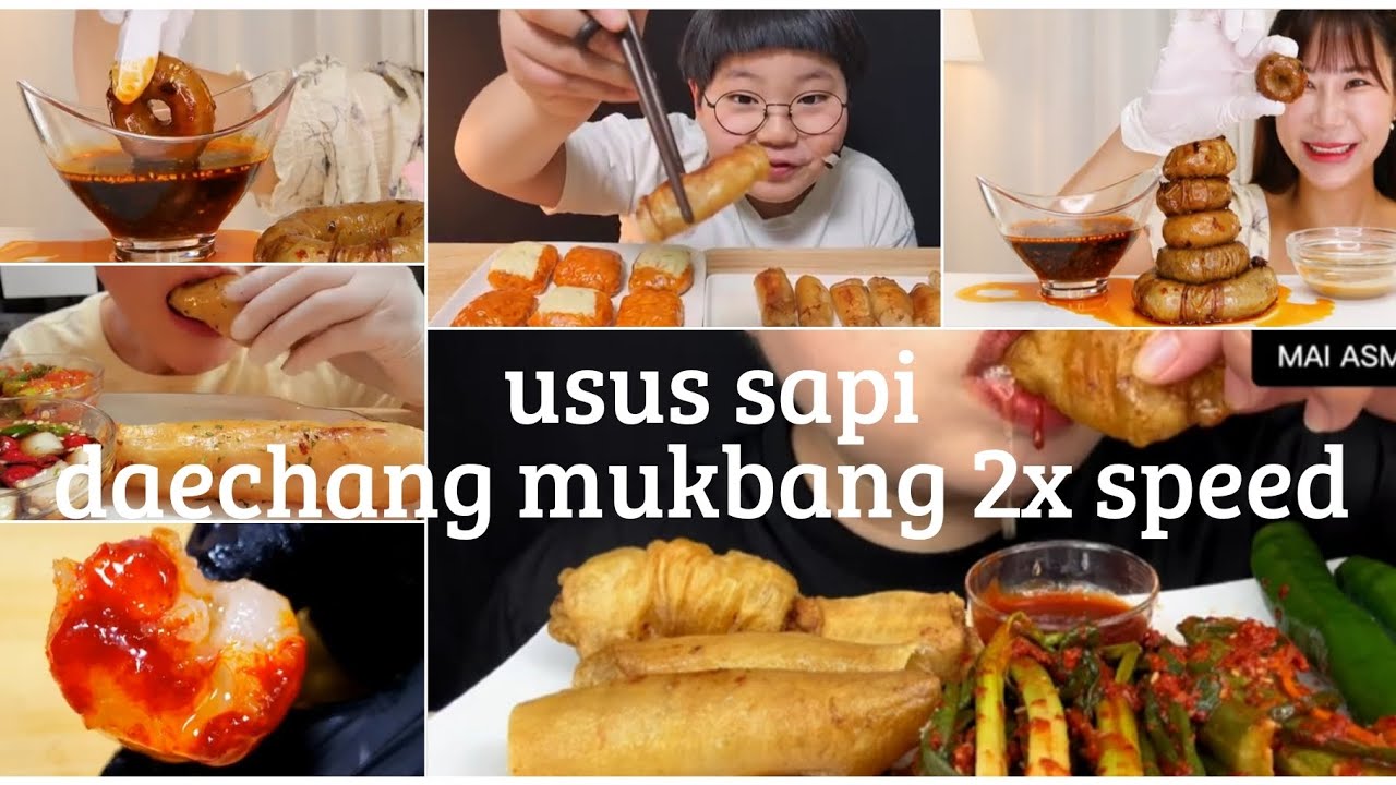 [Asmr Mukbang] Daechang Large Beef Intestines 😋🤤 Compilation 2x speed 🥢 ...