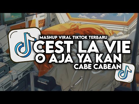 DJ CEST LA VIE X O AJA YA KAN X CABE CABEAN FULL SONG MAMAN FVNDY 2024