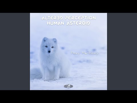 Alter3d Perception, Human Asteroid – Foxy Methoxy (2020, File) - Discogs
