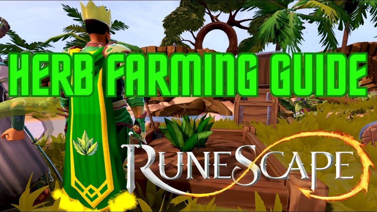 Herb Runs for huge profit! Most consistant Gp/Hr in 2024 with Farming ...