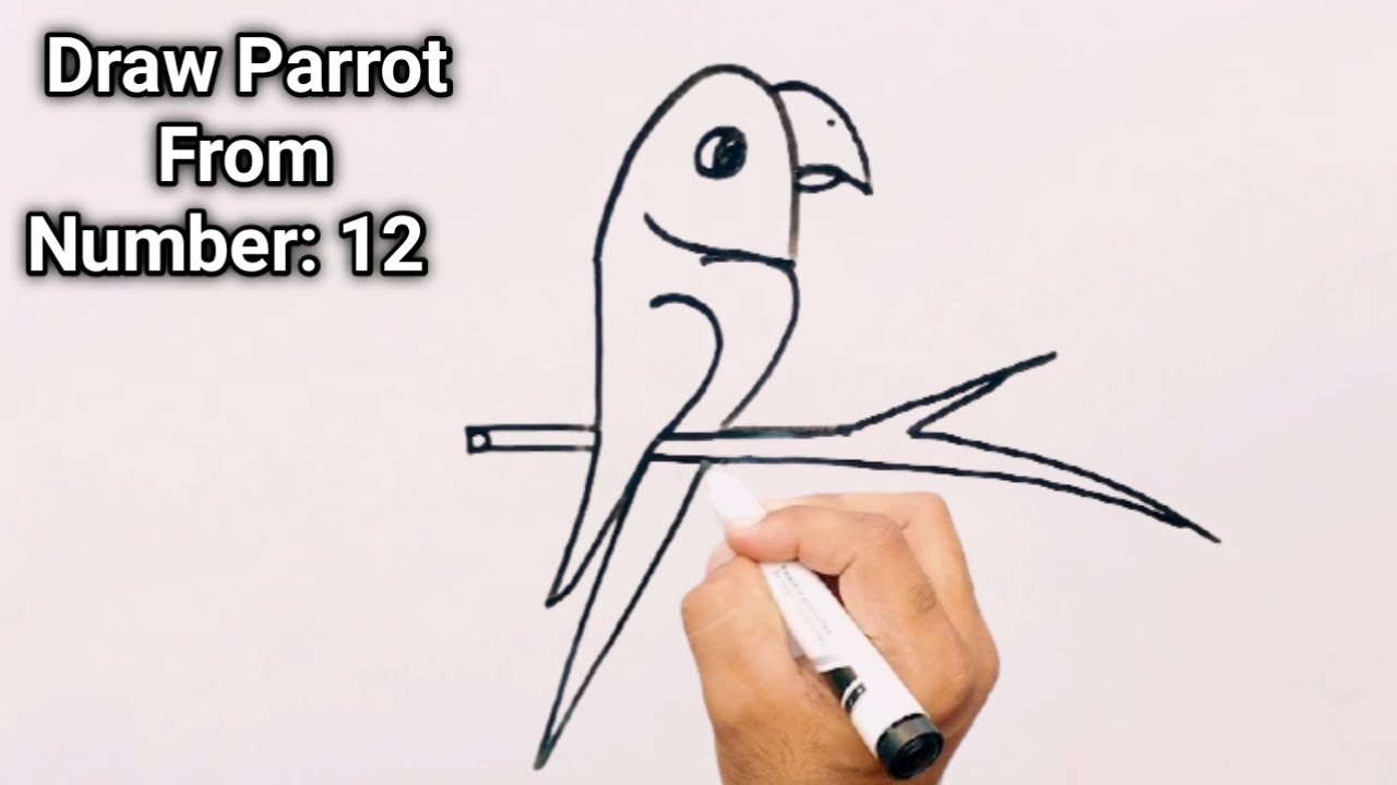 How To Draw a Parrot From Number 12 || Step by Step 12 Drawing || By ...