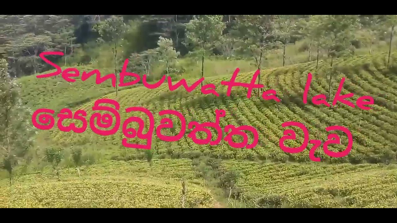 SEMBUWATTA LAKE සෙම්බුවත්ත වැව බලන්න යමු 😘😍 #Sembuwatte #environment # ...