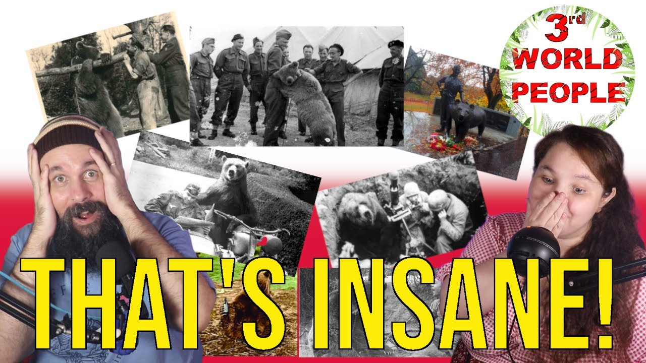 3rd WORLD PEOPLE DISCOVER THE STORY OF WOJTEK - THE POLISH MILITARY ...