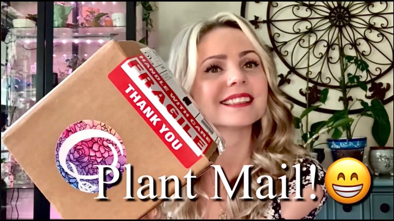 Plant Mail Unboxing! // So Excited For MORE Houseplants! - YouTube