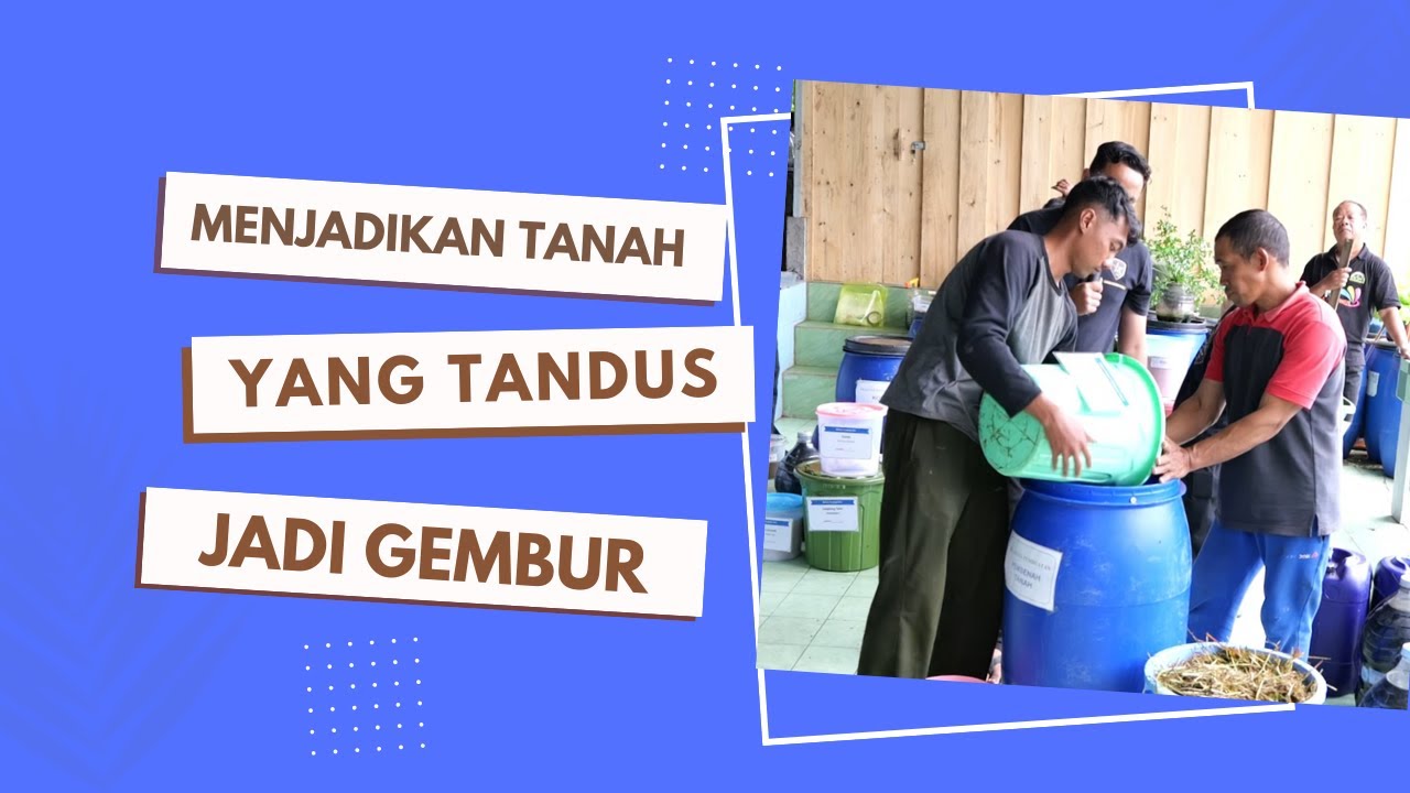 MENJADIKAN TANAH YANG TANDUS JADI GEMBUR - YouTube