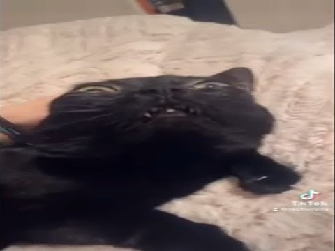 jinx mewing (looksmaxxing) - YouTube