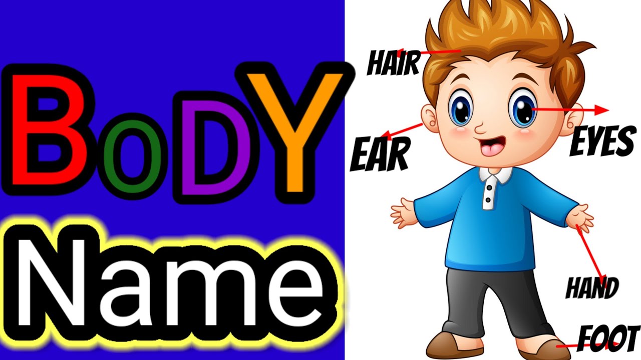 Body || Parts of body name || Parts of body name in English || Parts of ...