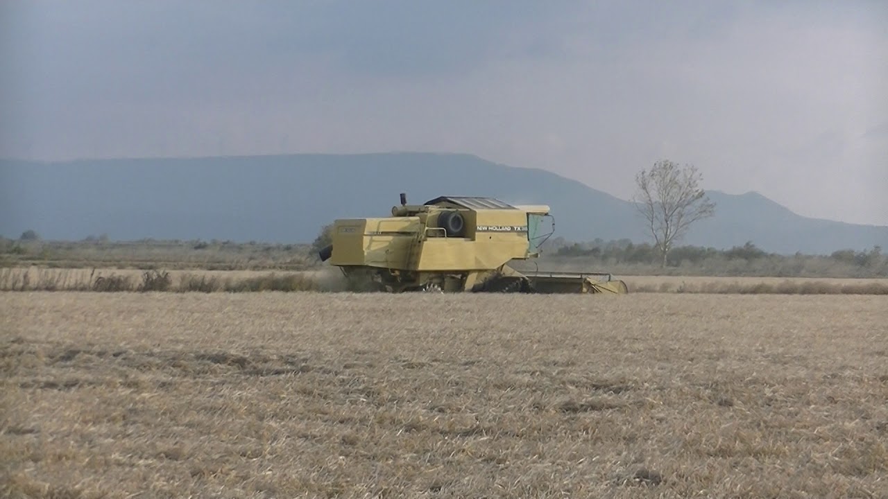 New Holland Tx36 Rice 4-11-2017 Greece - YouTube