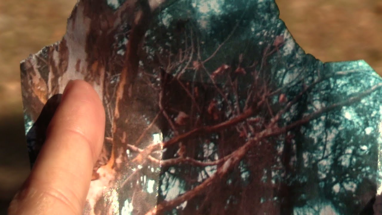 this is a photograph of me / margaret atwood - a video poem - YouTube