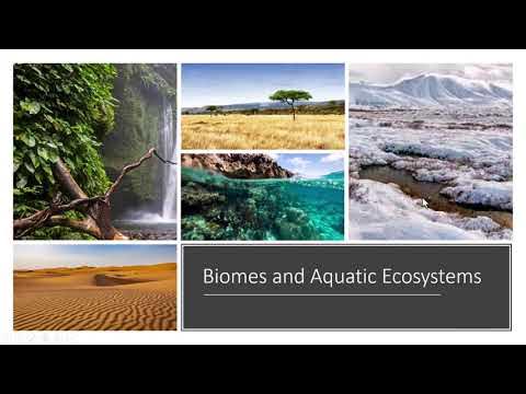 Biomes and Aquatic Ecosystems - YouTube