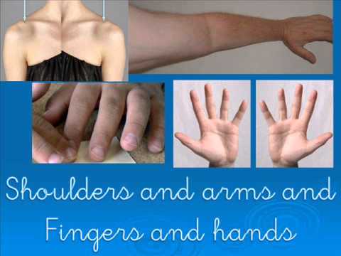 Head, torso, limbs. - YouTube