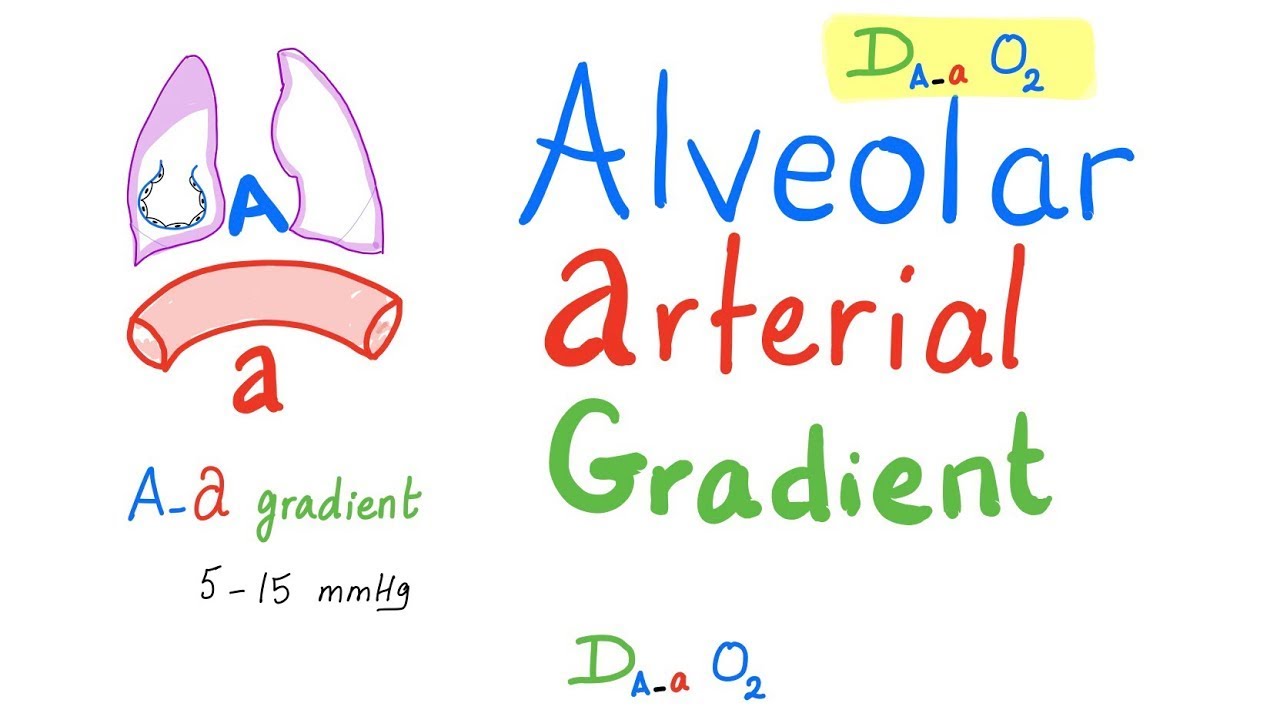 A-a gradient in Hindi (easy to understand) - YouTube