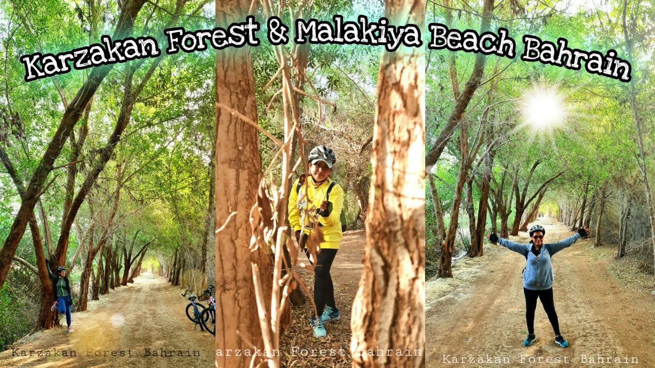Karzakan Forest & Malkiya Beach Bahrain | Cycling With Friends - YouTube