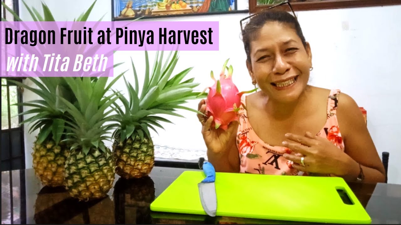 Dragon Fruit at Pinya Harvest with Tita Beth - YouTube