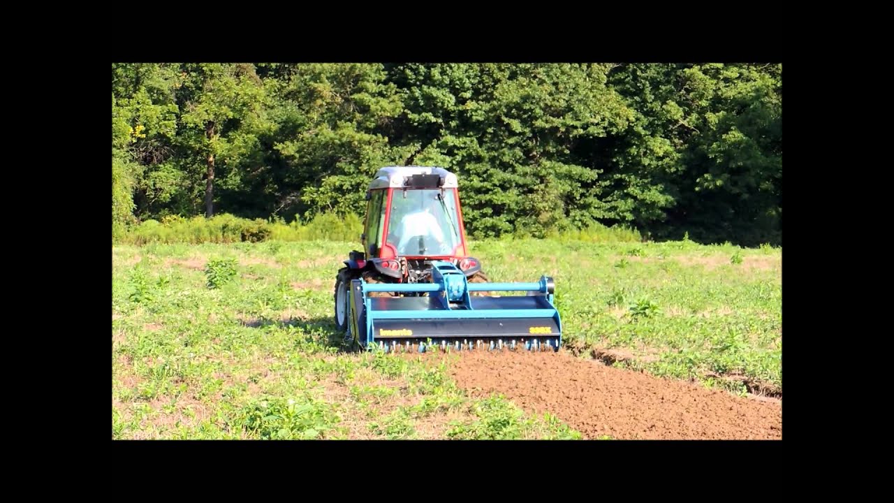 Imants spader - YouTube