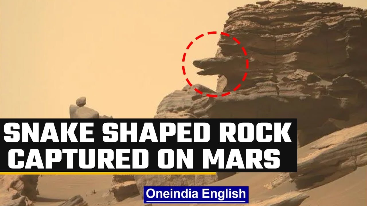 Nasa Finds A Snake Above Earth