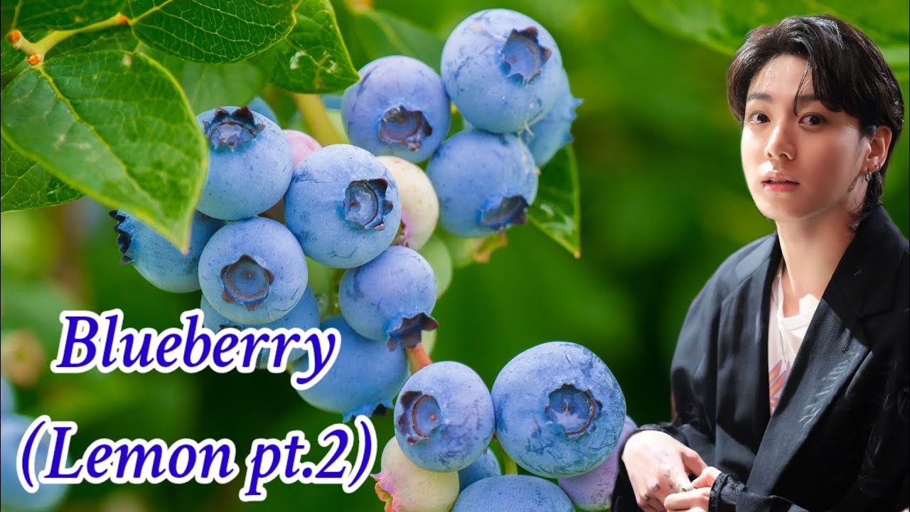 Blueberry (Lemon pt.2)#bts妄想 #ジョングク妄想 - YouTube
