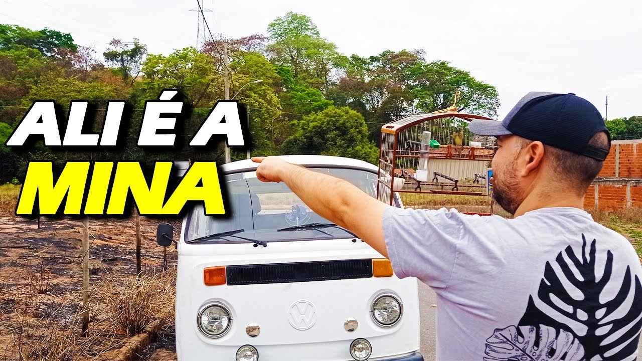 PROCURANDO PAPA CAPIM SOLTO - YouTube